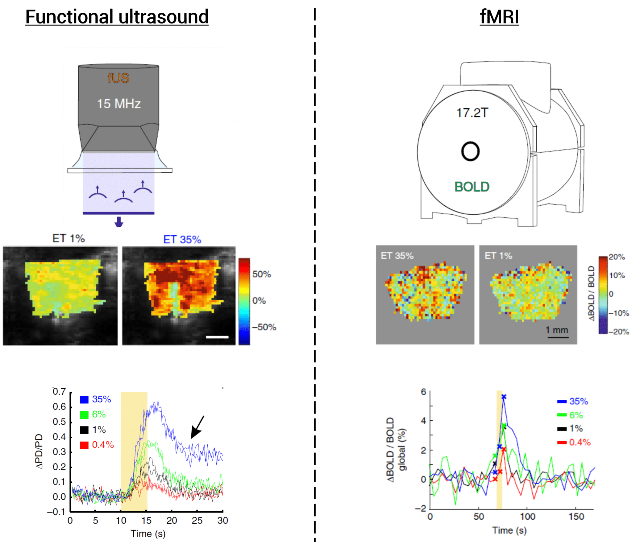 What is fUS - Iconeus